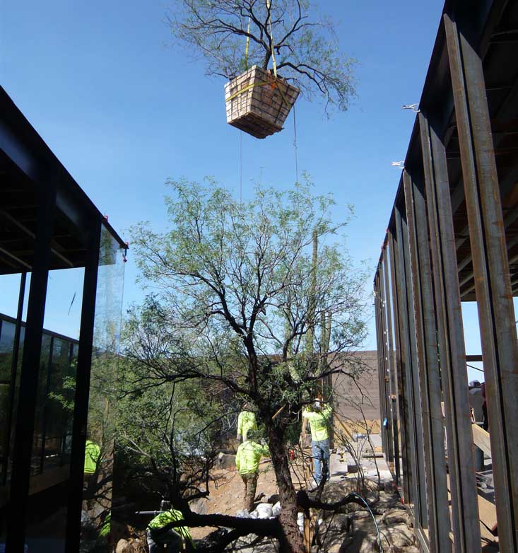 Level One Landscaping, Inc :: GALLERY