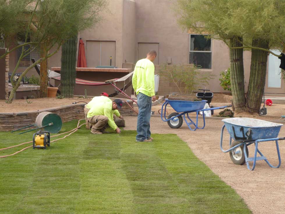 Level One Landscaping, Inc :: GALLERY